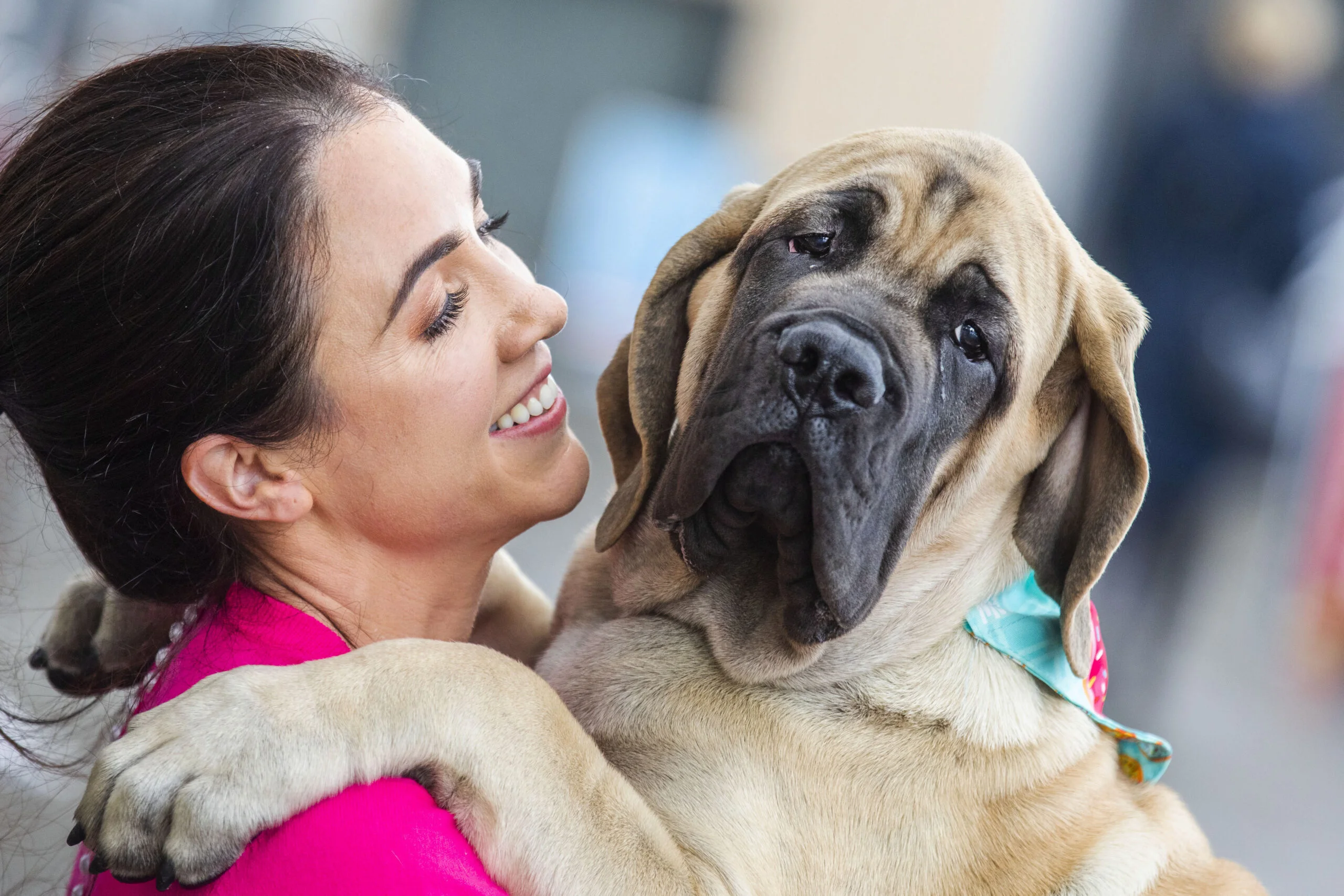 Petmania’s Annual Competition Celebrates Decade Of Puppy Love - Harris PR